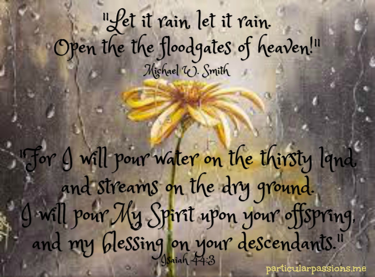 The Blessing of Rain – Blog for Passionista At Large and Empowordment Cards